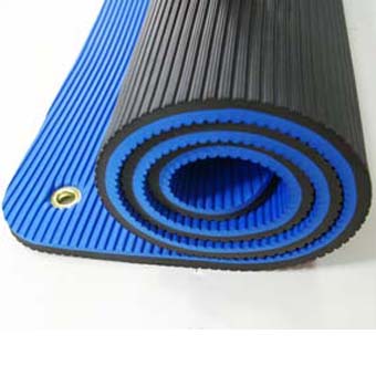 Exercise Mats for Personal Exercise and Floor Workouts, Roll Up Storage